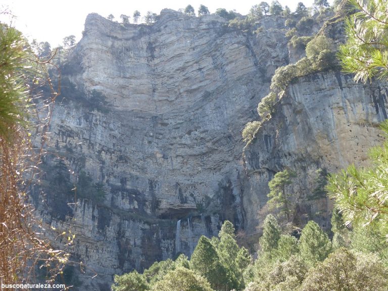 Nacimiento rio Mundo | 【 Impresionante salto de agua